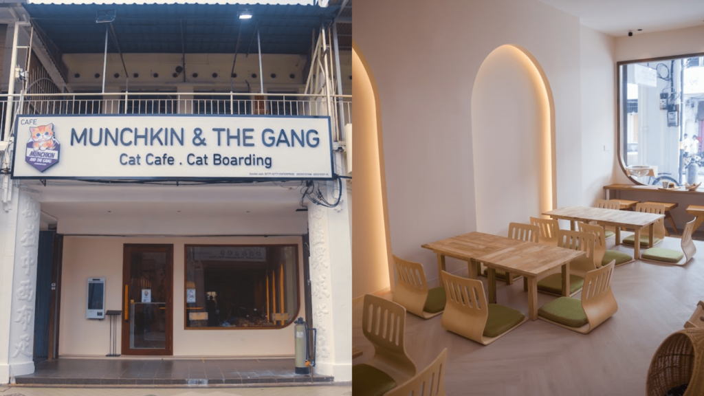 Best 11 Pet Cafes in Penang 2026 - Penanglicious